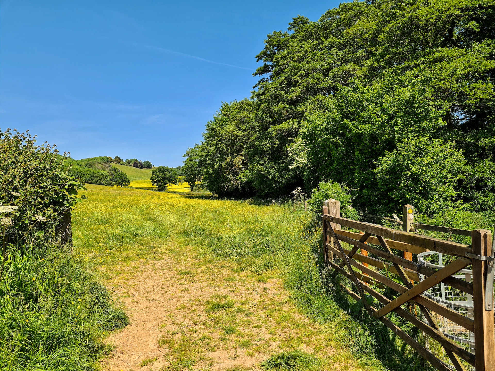 Registro de Imóveis do Brasil - ONR amplia canais de atendimento ao público